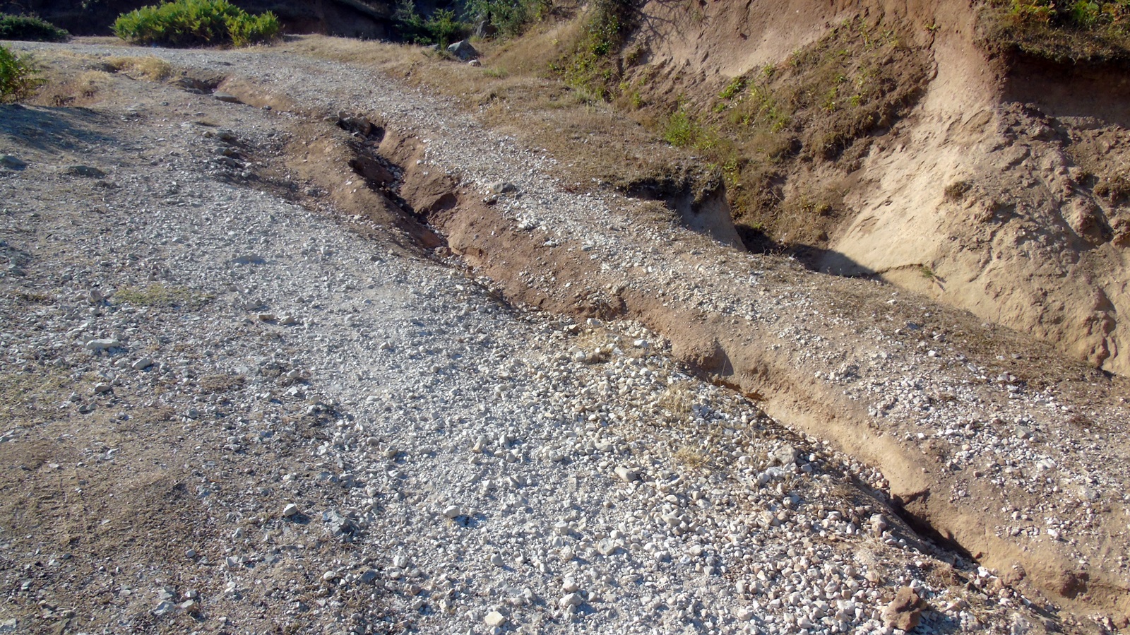 Αγαλάς: Δρόμοι απροσπέλαστοι για τα πυροσβεστικά οχήματα και ακαθάριστα ...